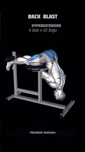 6 Effective Back Workout at Gym for Mass 💪 #backworkout