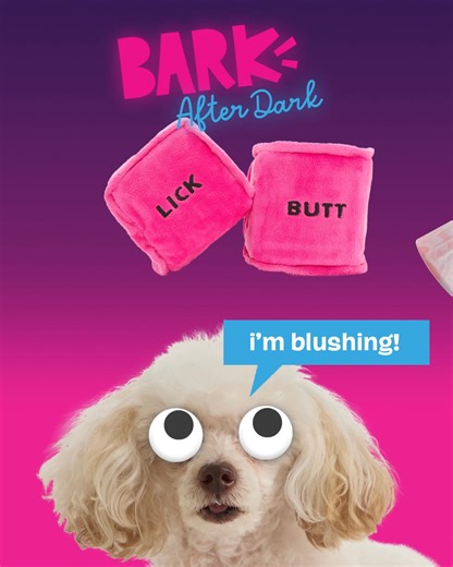 Stock your dog’s stash with tantalizing toys and treats from our BARK After Dark box. Then get monthly deliveries that are sure to satisfy all their playtime curiosities. | BarkBox