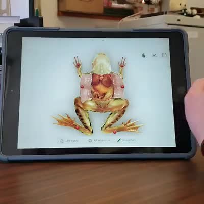 “Classroom dissection is harmful to animals, academically unnecessary, hazardous to the environment, desensitizing and economically wasteful.” https://humaneherald.org/2018/01/30/animal-cruelty-inherent-in-animal-dissection-in-schools/ Alternatives to Dissection http://www.peta.org/teachkind/humane-classroom/dissection/dissection-alternatives/ | Animal Matters