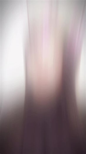 anti liplap #Reverse