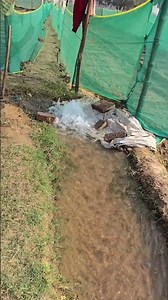 water #water #farming #farmer #pump #waterpump #green