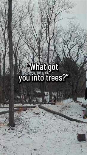 Know more about trees than people 😬