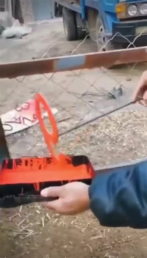 Sheep Marking Techniques for Effective Livestock Management