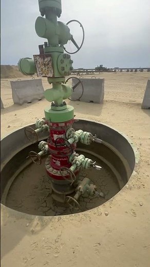 Christmas Tree (Oil & Gas) Explained: Clear Wellhead Details, Flow Control