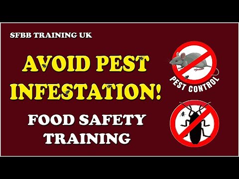 How to Stop Pests in Your Business Restaurant Training: