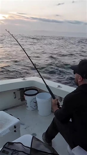 Bluefish Trolling Techniques for Successful Fishing