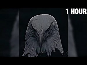 [1 hour] h6itam - FUNK MAGNETICO ULTRASLOWED