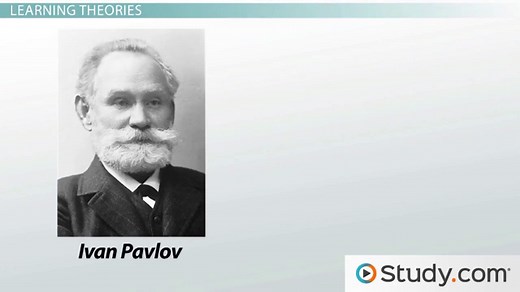 Theories of Human Growth & Development | Overview & Criticisms