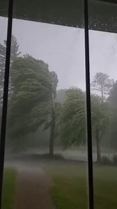 I can see heavy rainstorms and windy weather outside, trees moving gently, strangely peaceful to watch 🌧️🌬️🌳✨ | Inaturesgram