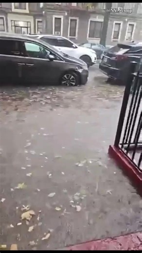 Once again, New York City was hit by heavy rain — and the city’s infrastructure completely failed. Subway stations were flooded, water surged into train cars, and passengers were left stranded with nowhere to go. Major highways became rivers, parks turned into lakes, and emergency services were stretched thin trying to respond. This time, the chaos turned deadly. A man in Crown Heights, Brooklyn tragically drowned inside a flooded basement while trying to save his dog — a heartbreaking reminder 