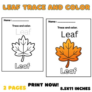 Leaf Trace and Color Worksheets | Fall Handwriting & Coloring Activity for PreK