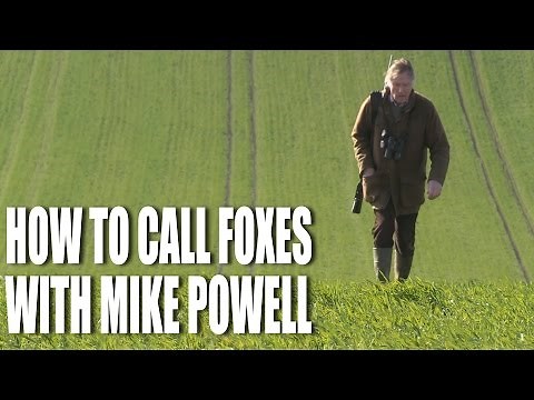 How to call foxes, with Mike Powell