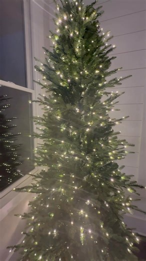 113K views · 3.4K reactions | Christmas is going up at Joy’s house! | The Shabby Tree | Facebook