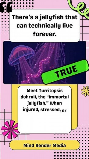 True or False: A Jellyfish That LIVES FOREVER?! 😱♾️🐙 #quickquiz #trivia #quiz #jellyfish