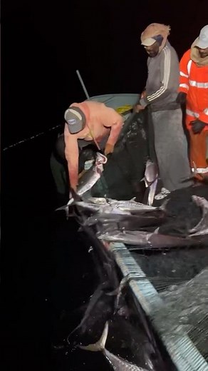 Tuna fishing with net #fishing #fishingaddict #fish #tuna #tunafishing