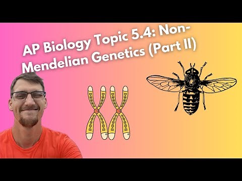 (2019 curriculum) 5.4 Non-Mendelian Genetics (Morgan's Experiments and Gene Mapping) - AP Biology
