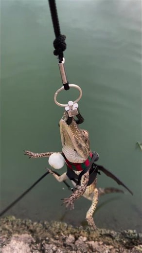 Fishing… But the Fish Is a Crocodile 🐊 👀