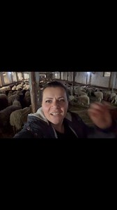 7K views · 3K reactions | Problem serjoz sot  | Farma Sotira Agroturizem | Facebook