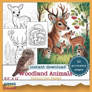Woodland Animals Coloring Pages: 50 Forest Nature Designs (PDF Download) - Etsy