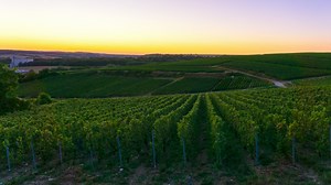 Ag visas will ‘complement and supplement’ other schemes: Littleproud