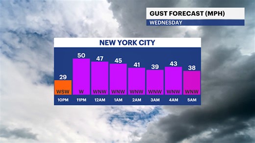 Strong winds howl through Brooklyn, power outages and tree damage possible