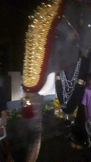 🥰 Christmas in Kerala #shorts #viralvideo #christmas #viral #trending #kerala #youtubeshorts