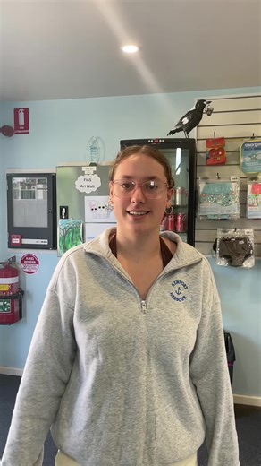 They can get a gold star for the confidence ⭐️…. but not much else 🤭. #FinSSwimSchool #swimminglessons #fyp #zeromistakes