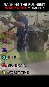 😂Ranking The Funniest Wasp Nest Removals😂 #shorts#ranking#funny#waspnestremoval#fails