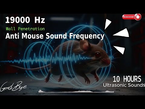 Ultrasonic Mouse Repeller ❘ Best Solution for Your Home 🏠🐭🚫 | Safe & Effective Mouse Control