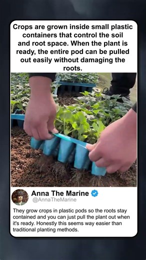 YOU CAN JUST PULL THE CROPS OUT LIKE THIS