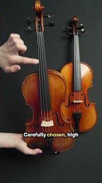 Beginner vs Step-Up String Instruments: Is It Time to Upgrade Your Sound? #orchestra #violin #cello