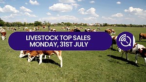🐮 Uncover Yesterday's Top Livestock Sales on LSL Auctions 🐮 Prepare for an exciting journey through the exceptional 🏆 Premier Livestock Sales, brought to you by LSL Auctions! 🐮🔨💰 Stay connected and stay informed about the most incredible Livestock auctions in Ireland and the UK by downloading the LSL Auctions App. 📲🐮🔨💰 #PremierLivestockSales #LSLAuctions #AppDownload #StayInformed #IrelandAuctions #UKAuctions #FinestLivestock #SuccessfulBidding #FarmersMarket #LivestockDeals 🏆🐮🔨 | L