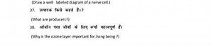 (Draw a well labeled diagram of a nerve cell.)37. उत्पादक किसे... | Filo