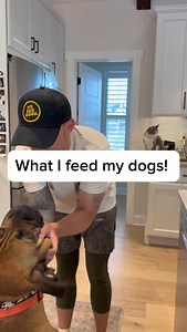 It’s that simple. Processed food is actual garbage, why feed it to our dogs everyday for every meal? @wefeedraw #dogdiet #rawfed #nutrition #rawfeddogs | Tom Davis Dog Training