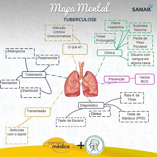 Resumo tuberculose: definição, formas, diagnóstico, tratamento e mais | Ligas