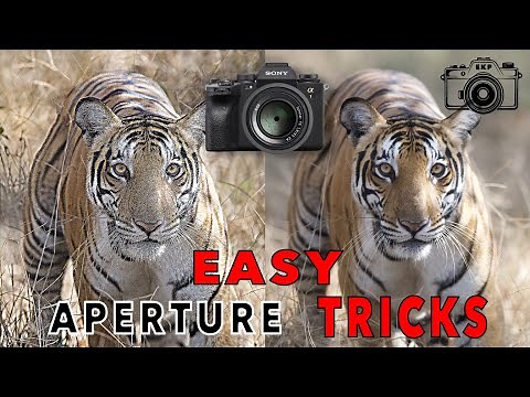 How PROS use APERTURE to their advantage!