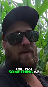 4.4K views · 105 reactions | The corn crop faces challenges due to weather, even with efforts to mitigate risks like tar spot. Despite concerns and a lack of rain, the leaves remain green. They've done what they could, controlling what's possible. Now, the focus shifts to preparing the combine with help from Agrow. #corn #weather #crop #farming #agriculture | Brian's Farming Videos | Facebook