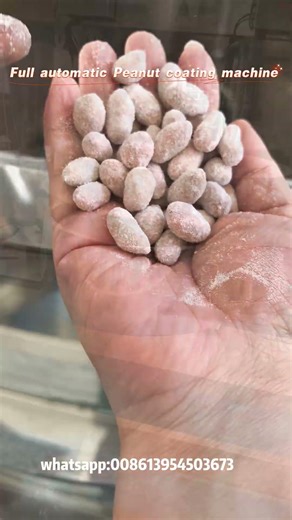 Full automatic covered peanut coating machine | peanut burger making machine #foodmachinery