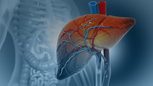 New Guidelines for TIPS in Portal Hypertension