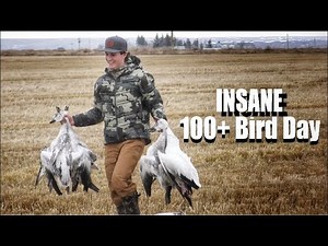 5 Man Limit!! EPIC Snow Goose Hunt 2019 (100+ Birds)