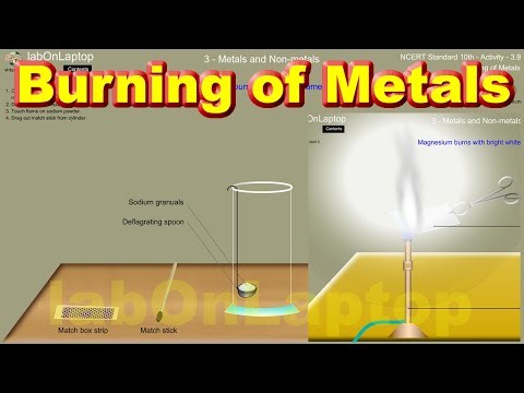 NCERT Class 10th Activity 3.9 | Metals & Non-metals | Burning Of Metals | labOnLaptop | Virtual Lab