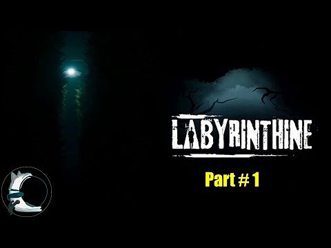 Labyrinthine - Zone 1 Walkthrough (Co-op) Part #1