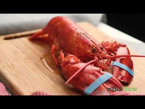 How to Clean a Lobster