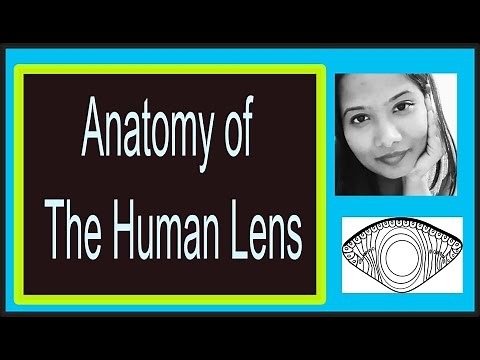 Lens Anatomy (Complete Lecture) | Structure | Development | Layers| Transparency | Human eye|