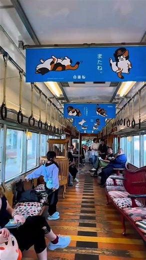 Tama Densha, a famous cat-themed train in Japan #cat #tama #tamadensha #wakayama #catlover #cutecat