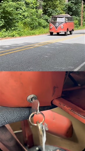 6.4K views · 52 reactions | Every once in a while something pretty...