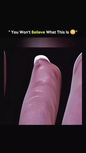 explain_eduverse_ on Instagram: "👁️ You Won’t Believe What This Is — A 1000× Zoom into the Human Eye 🔬✨ What looks smooth to the naked eye becomes a complex biological landscape under extreme magnification. At 1000× zoom, the human eye reveals layers of cells, textures, and structures designed for precision vision. 🔹 Microscopic detail: Tiny cells work together to process light 🔹 Biological engineering: Every layer has a specific function 🔹 Scale illusion: What seems perfect up close is wil