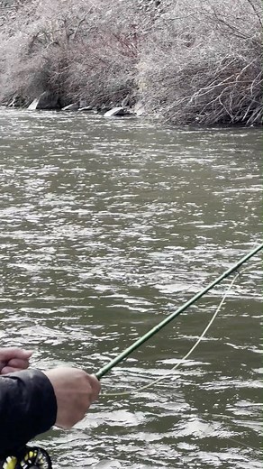 Fly Fishing Tip of the Week // Reach Cast for Instant Natural Drift A well-executed reach cast, or aerial mend, is one of the most effective techniques for achieving a natural drift—especially when fishing dry flies. Instead of mending after your fly lands, incorporate the mend mid-cast to position your line for an optimal presentation. As you complete your forward cast, move your rod tip upstream (for an upstream mend) or downstream (for a downstream mend) while the line is still in the air. Th