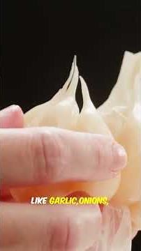 Scientists Just Linked Gut Bacteria to High Blood Pressure — Not Salt or Fat!