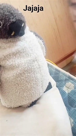 26 de febrero de 2026